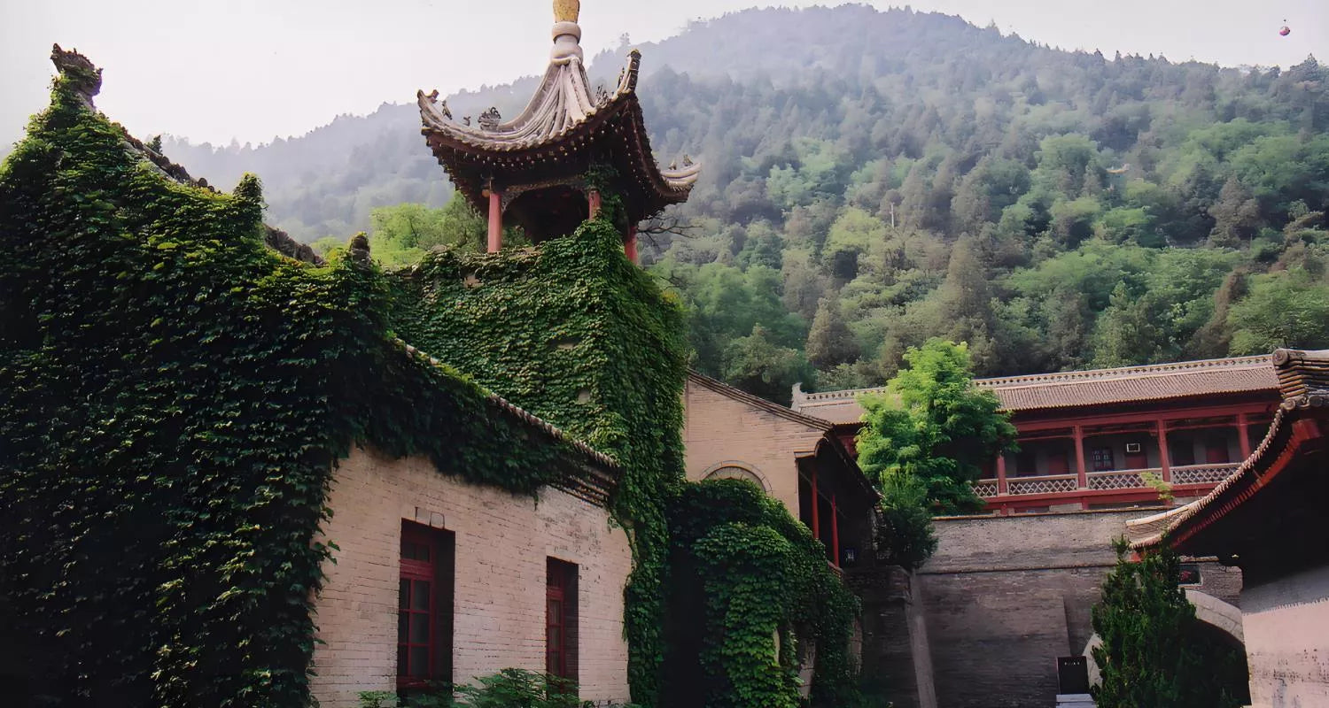 Lishan Mountain Forest Park – A Breathtaking Green Horse – Yes! CN Tour